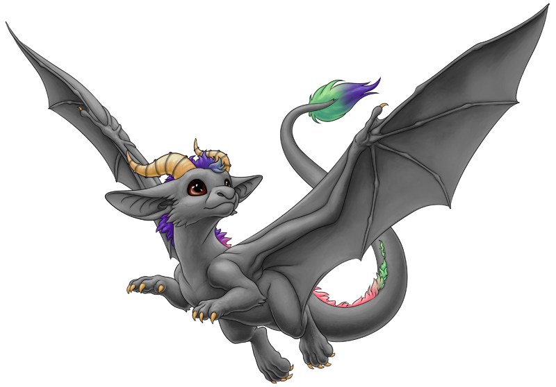 DarkCookie's Zephyr Dragon | Xanje