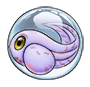 Kissy Frog | Xanje
