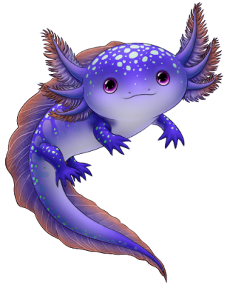 Axolotl - Designer Pets | Xanje