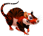 Tiger Rat | Xanje