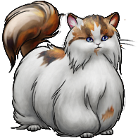 Pale Tortie G2 | Xanje