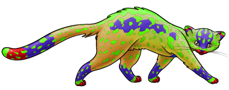 North Jungle | Xanje